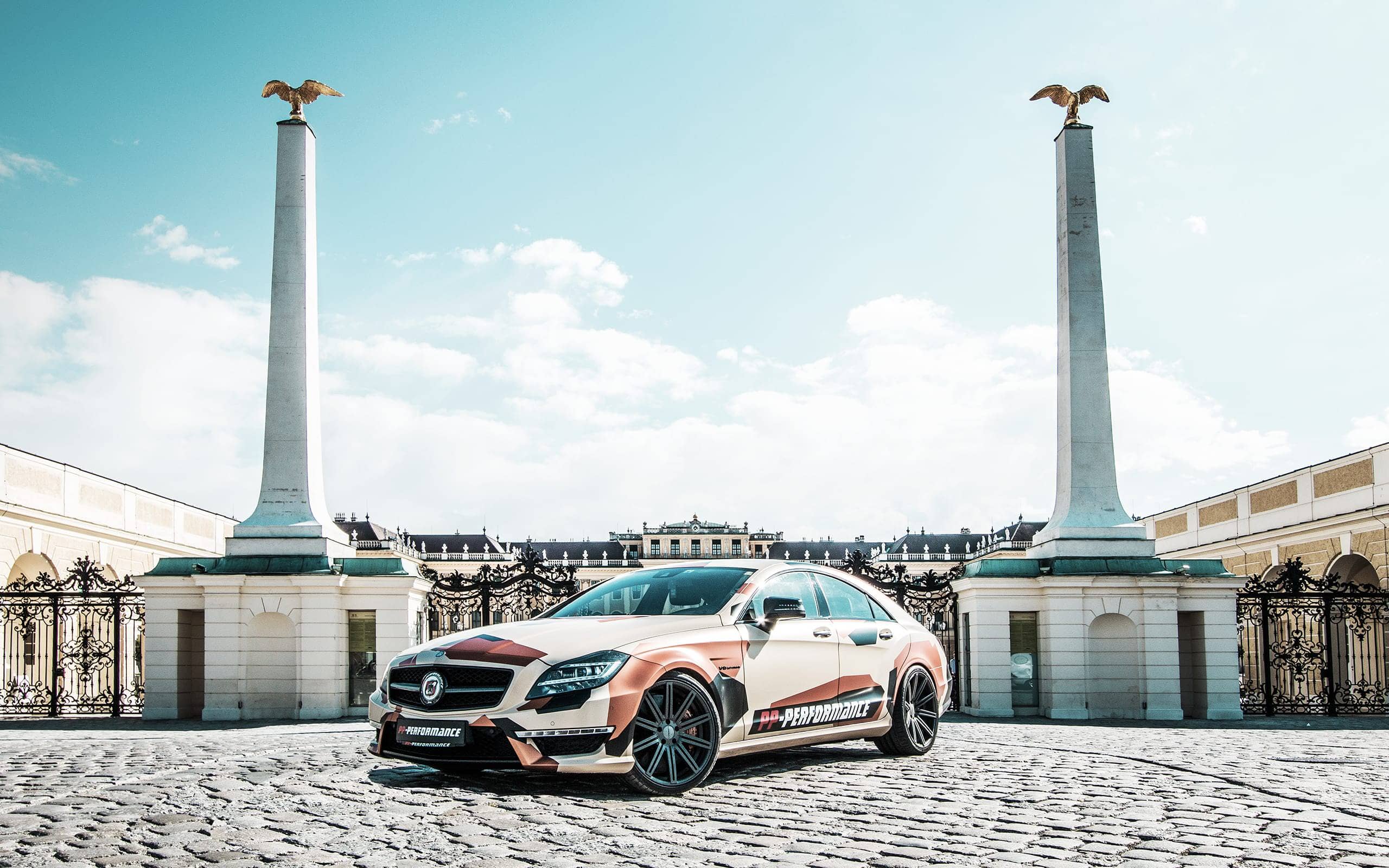 AMG VIP-Tuning | PP-Performance